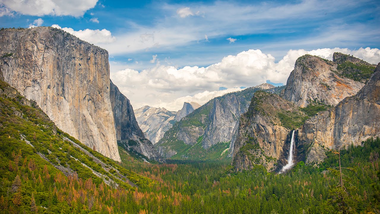Yosemite Mafia: Interview with Former NPS Special Agent - Trine Daily